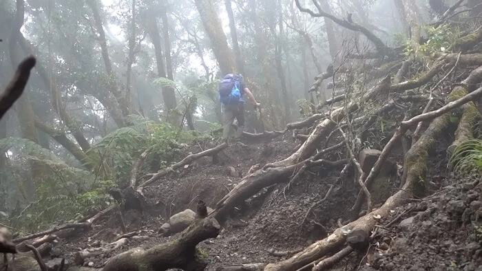 3 Cerita Mistis Pendakian Gunung Gede via Putri (Kisah Nyata)