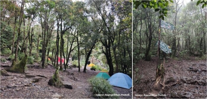 Jalur Pendakian Gunung Pangrango (via Cibodas dan Putri)